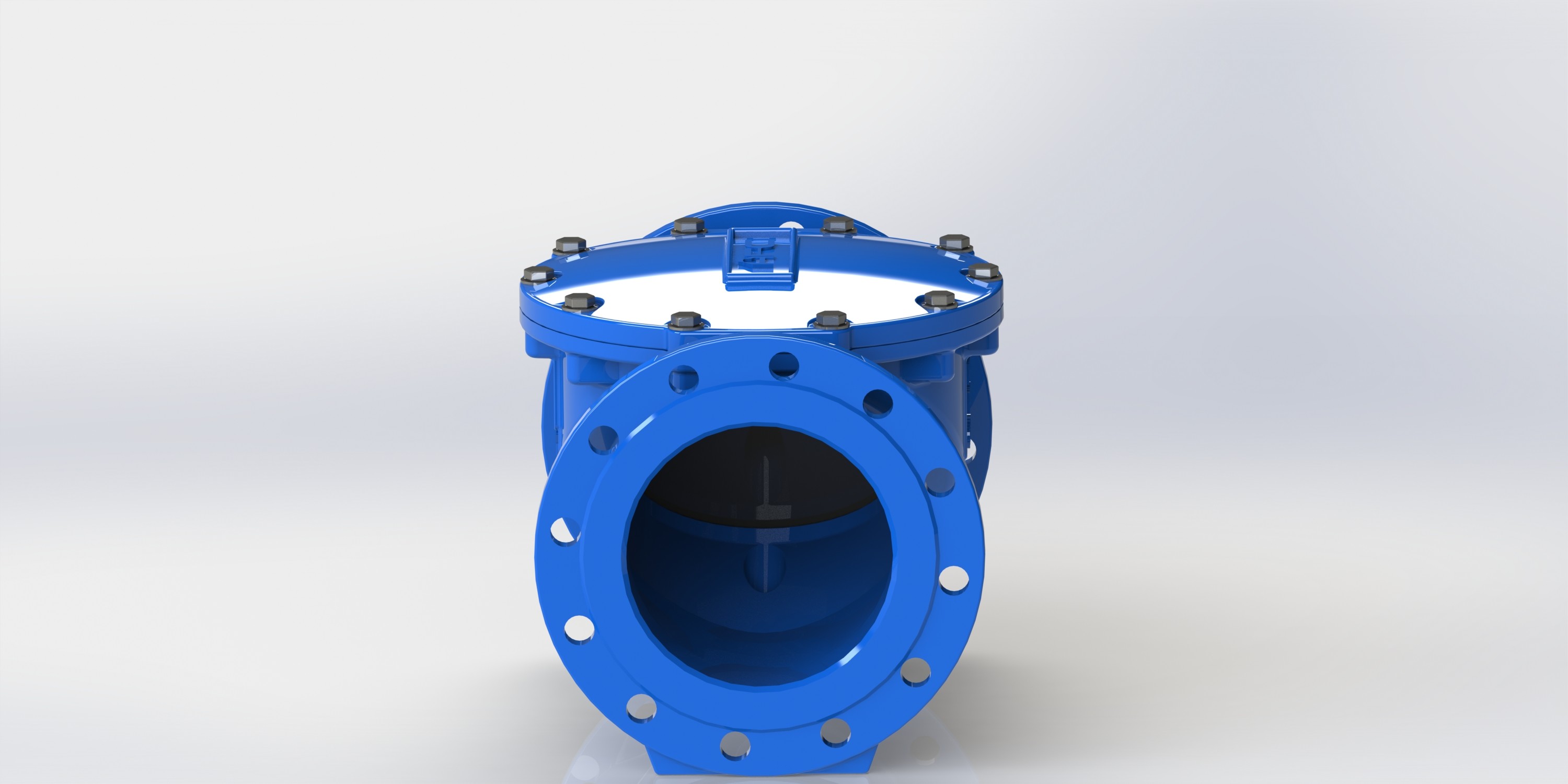 Fusion Bonded Rubber Disc Check Valve Epoxy Coated 40 Degree